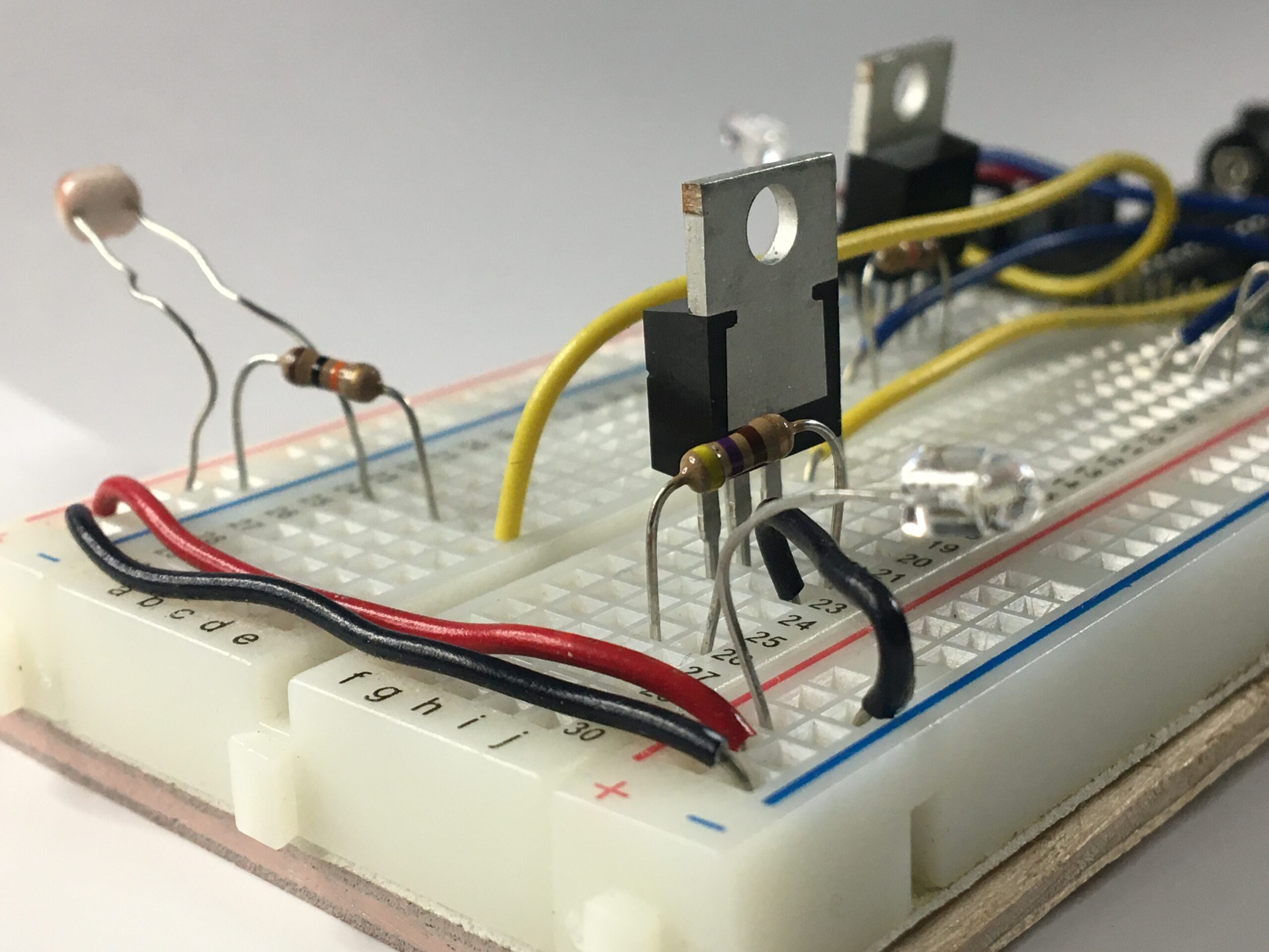 netArt Fireflies - netArt